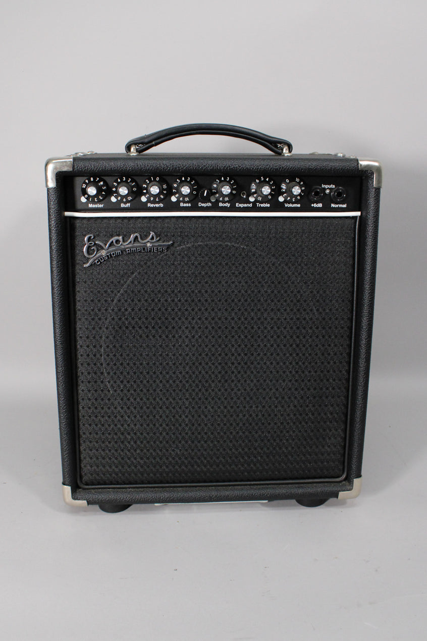 Evans Custom Amps DPU200 200w Solid State Combo Guitar Amplifier w/ Co ...