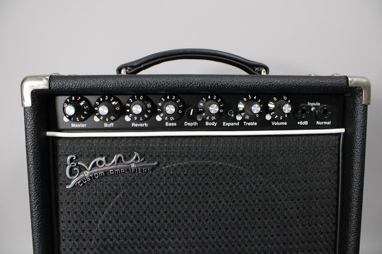 Evans Custom Amps DPU200 200w Solid State Combo Guitar Amplifier w/ Co ...