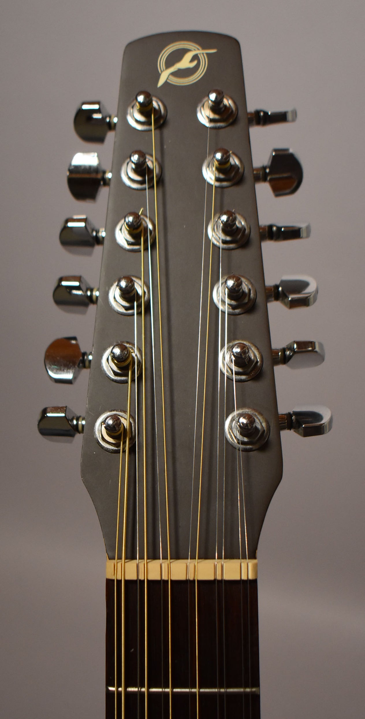 Seagull Coastline S12+ Cedar 12-String Acoustic Natural Finish w/HSC ...